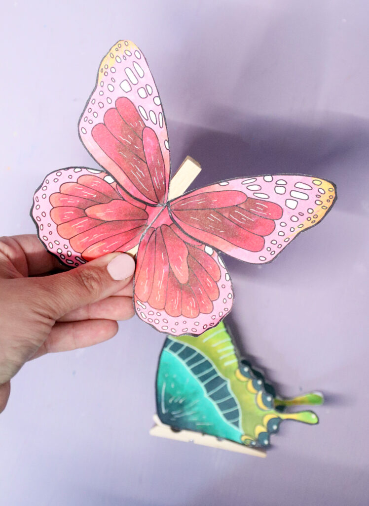 Butterfly Wings Templates | Paper Butterfly Clothespin Craft – Shop ...