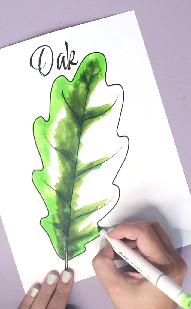 Leaf Coloring Pages for Kids & Adults – Shop Moms & Crafters